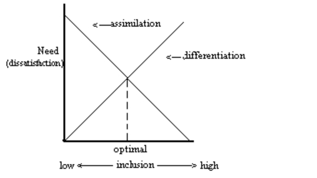 MVP vs. BVB în PDL (RO)